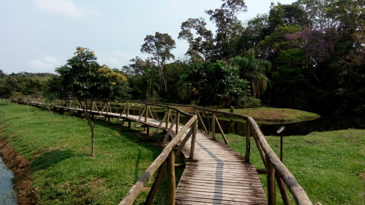 Parque Ecológico de Maracajá reabre ao público - Uaaau!